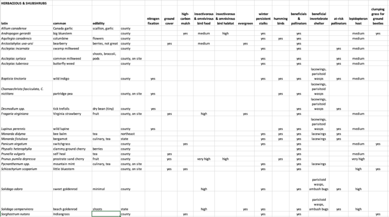 Edible forest gardens: More than just a food forest – Perennial Solutions