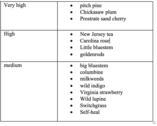 Edible forest gardens: More than just a food forest – Perennial Solutions