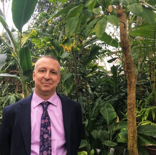 About the Author – Perennial Solutions